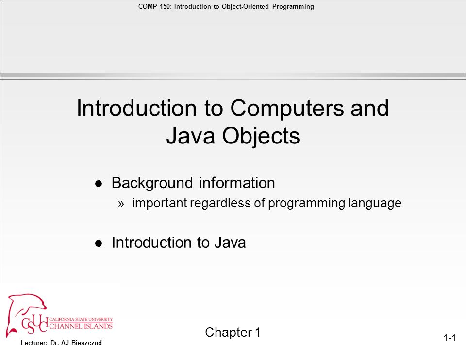 Lecturer Dr Aj Bieszczad Chapter 1 Comp 150 Introduction To Object