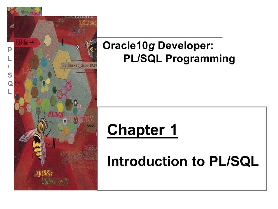 Plsqlplsql Oracle10g Developer Plsql Programming Chapter 1 6942