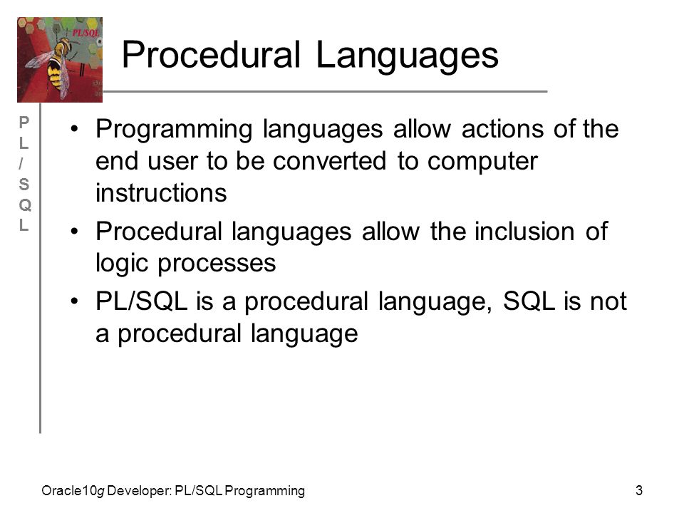 Plsqlplsql Oracle10g Developer Plsql Programming Chapter 1 2878