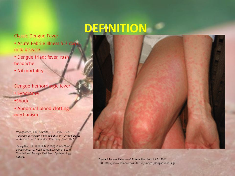 Dengue Prevention In Trinidad And Tobago Oumatee Nyoka Arjoon Singh Mph