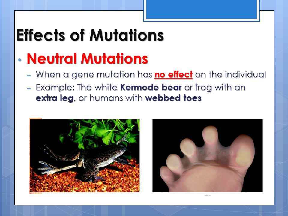 Explain Difference Between Mutation Rate And Neutral Mutation Rate