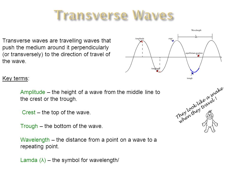 Here’s The Basics: 1. Waves Are Caused By Vibrations Or Disturbances. 2