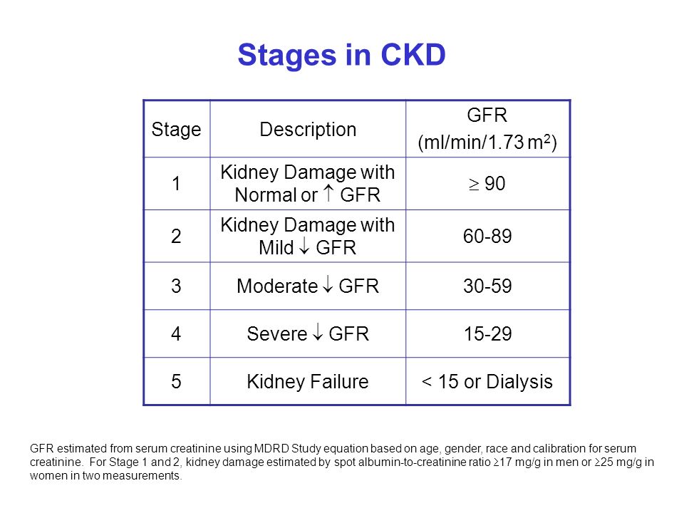 Stages Of Kidney Disease, 54% OFF | www.bharatagritech.com Stages Of Kidney Disease, 54% OFF | www.bharatagritech.com