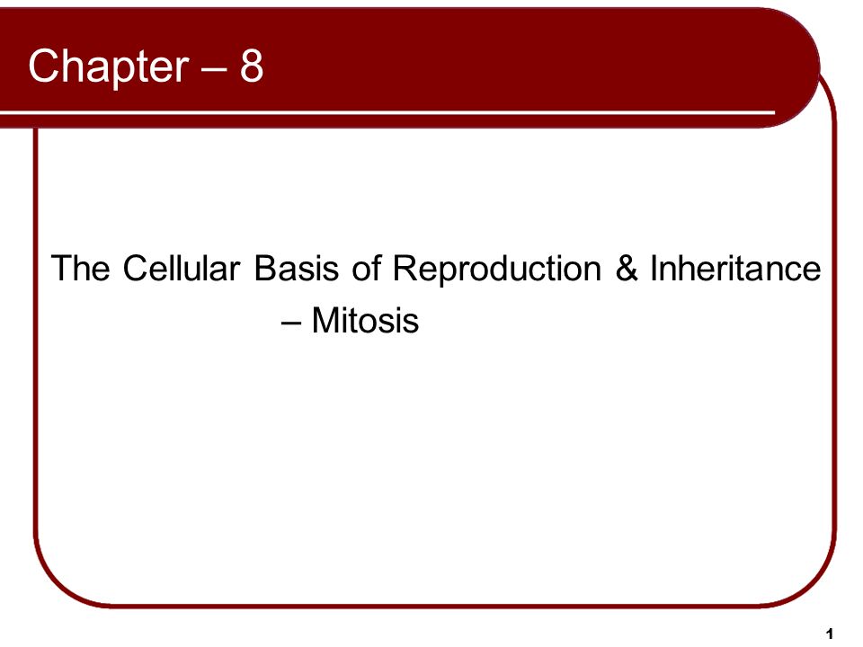 Chapter 8 The Cellular Basis Of Reproduction And Inheritance Mitosis