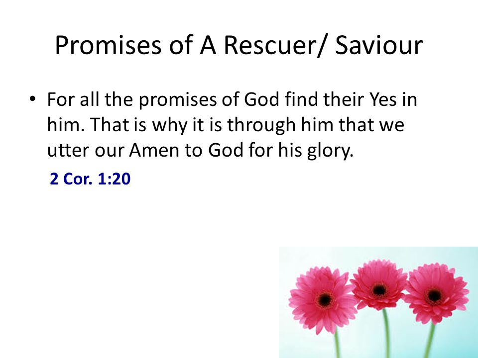Did Jesus Fulfil The Ot Promises And Predictions Of The Coming Messiah Nabil Aziz Ppt Download
